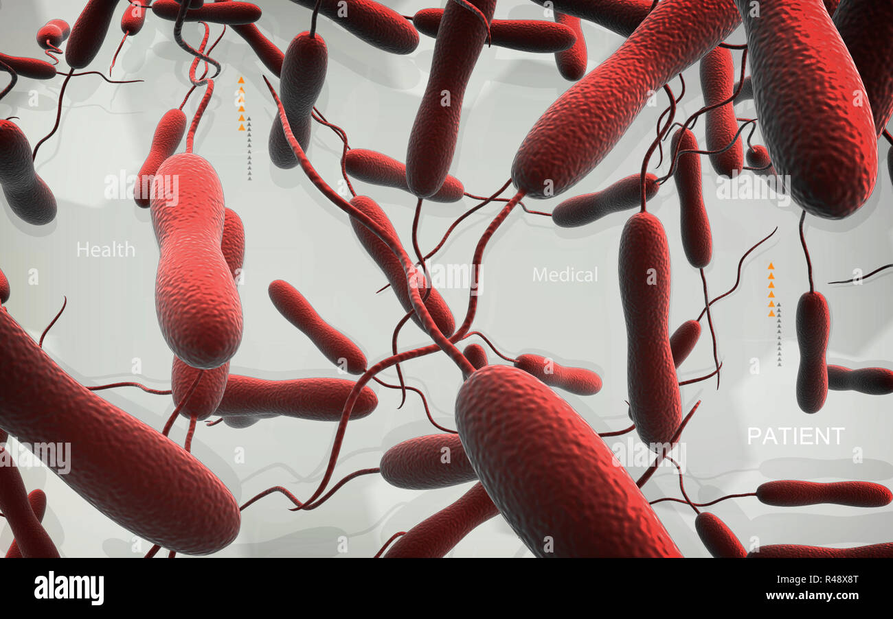 Cholera bacteria hi-res stock photography and images - Alamy