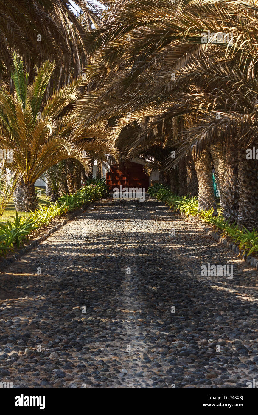 Long stone hi-res stock photography and images - Alamy