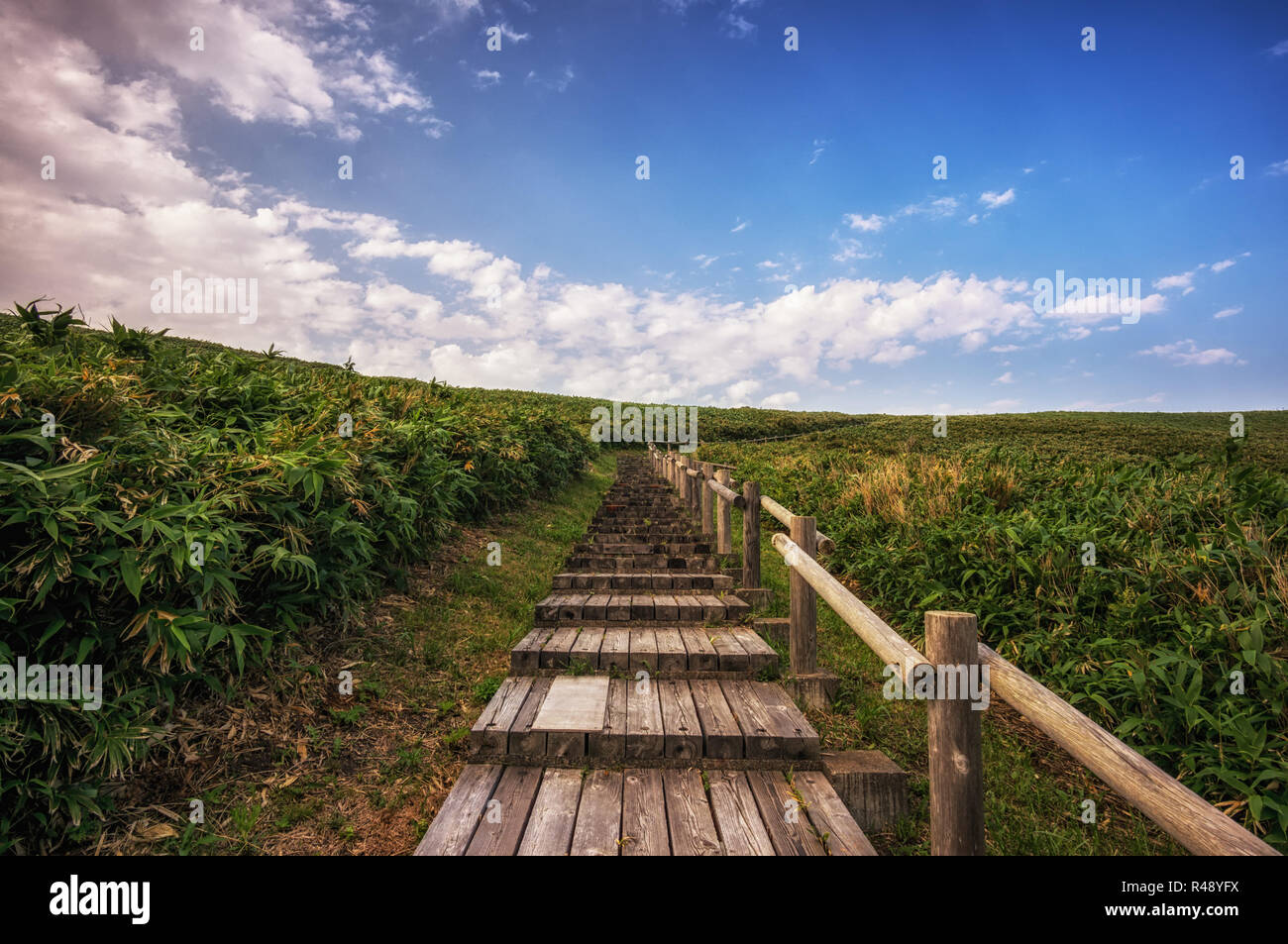 Cape Kamui in Shakotan Stock Photo - Alamy
