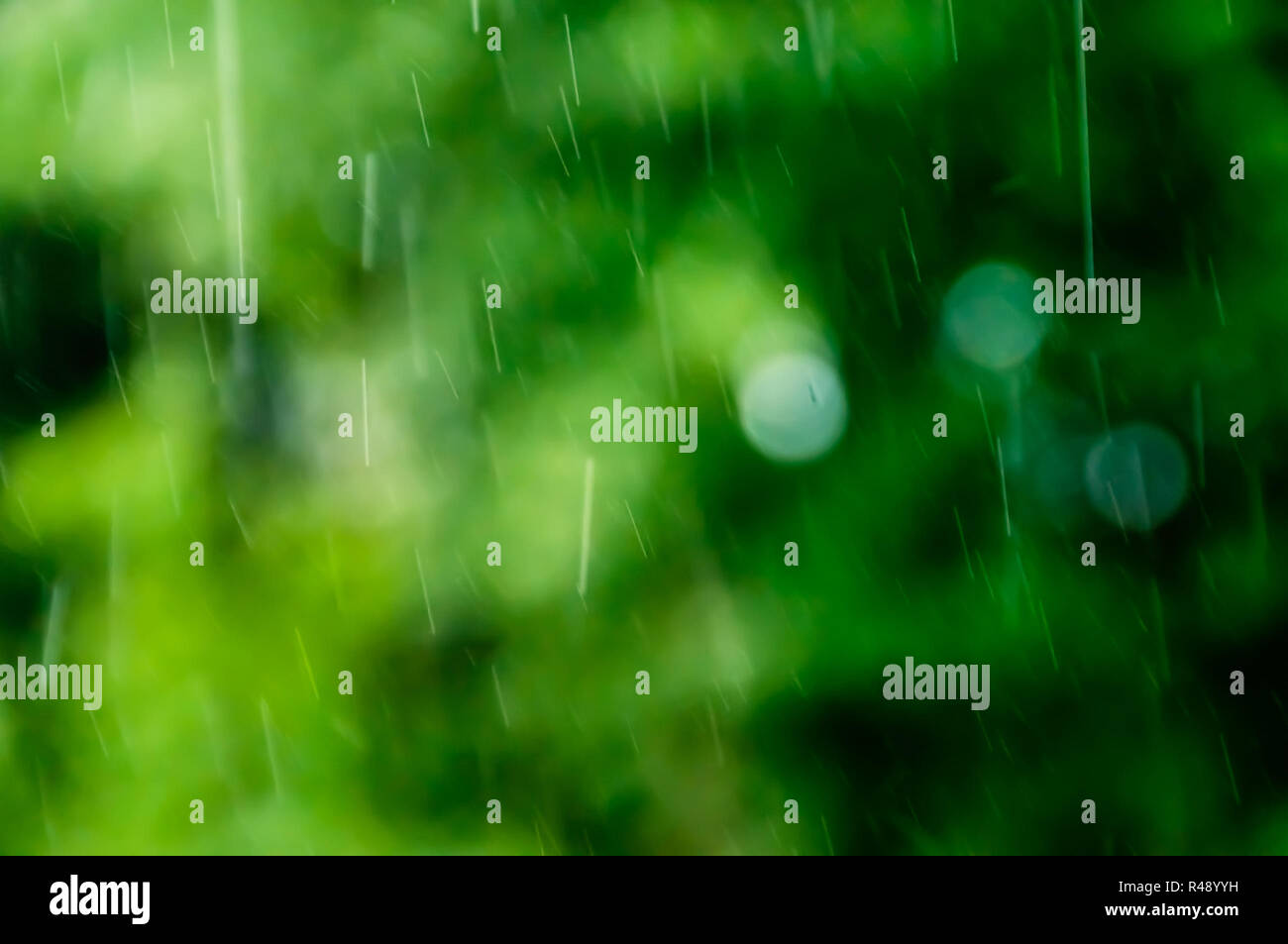 Raindrop thunder storm wet hi-res stock photography and images - Alamy