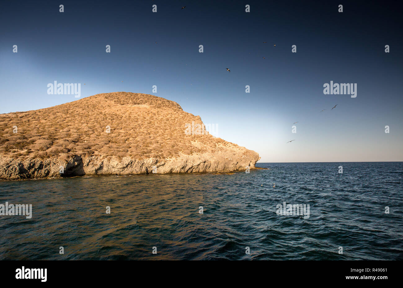 Isla Grosa - Spanish island near La Manga Stock Photo - Alamy