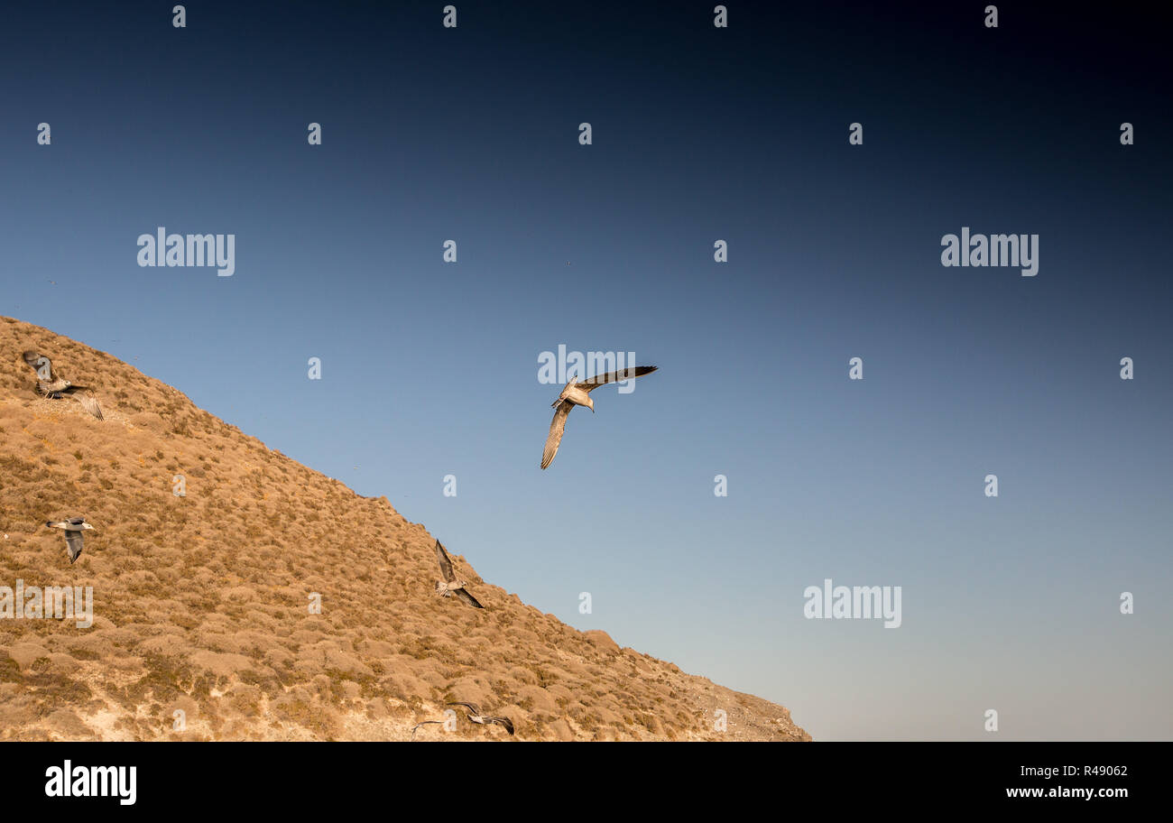 Isla grosa hi-res stock photography and images - Alamy