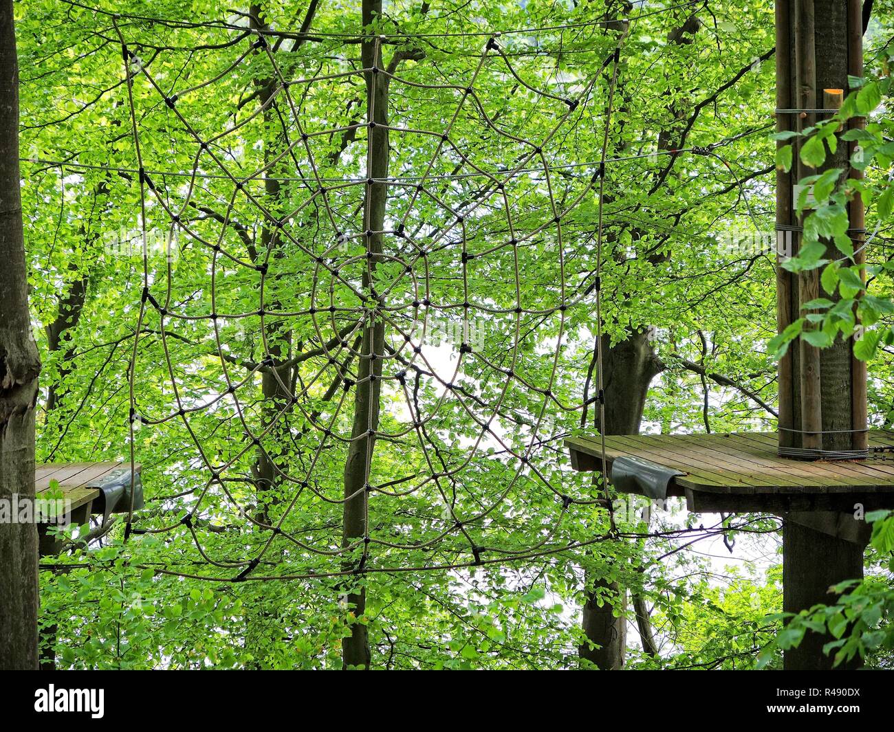 high rope course Stock Photo - Alamy