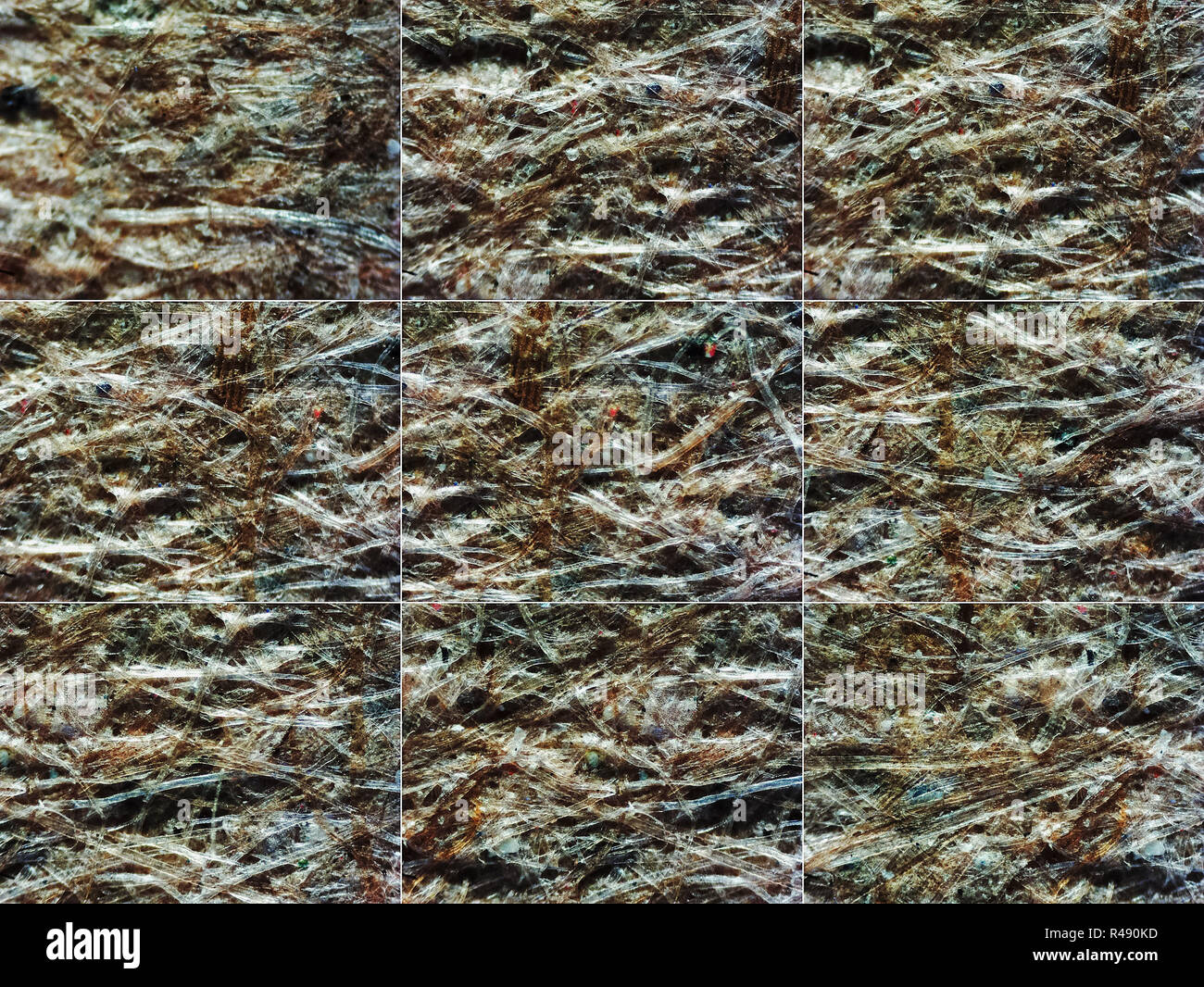 Recycled cardboard seen with microscope Stock Photo - Alamy