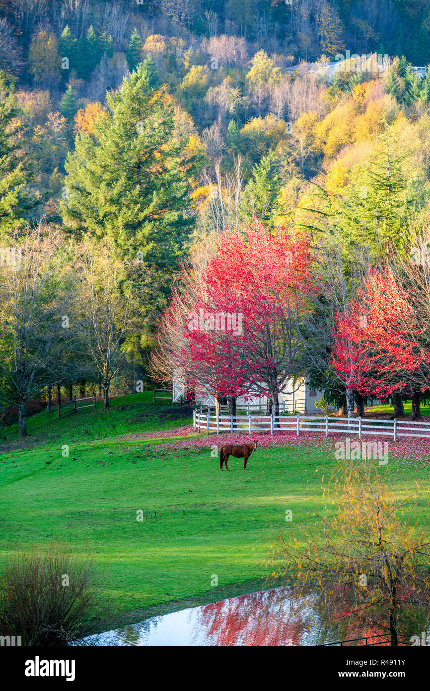 Fascinating autumn landscape of the estate with trees brightly colored ...
