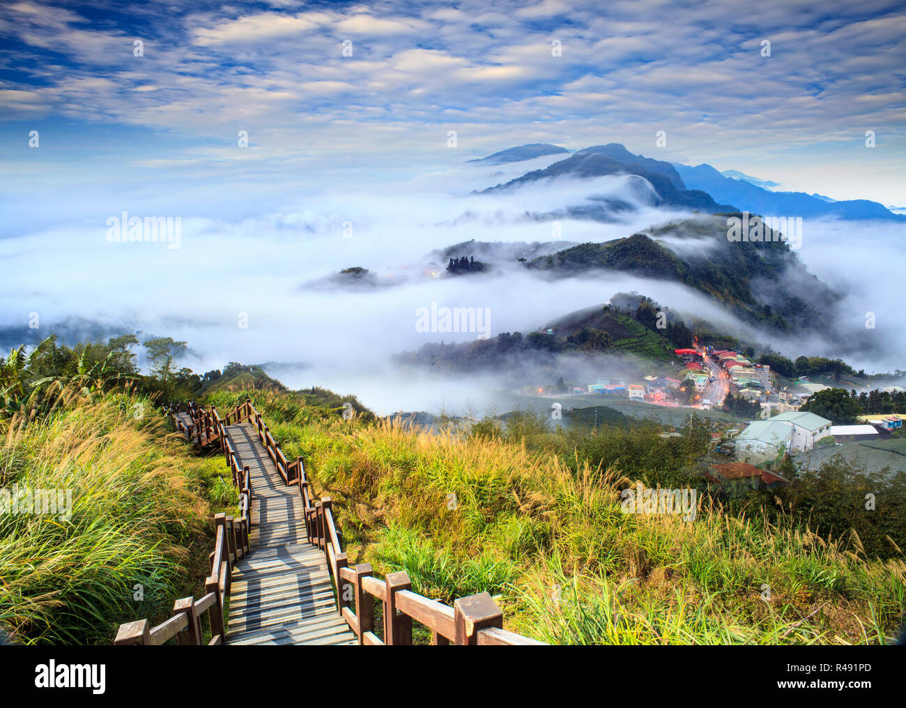 Alishan,Chiayi County,Taiwan Stock Photo - Alamy
