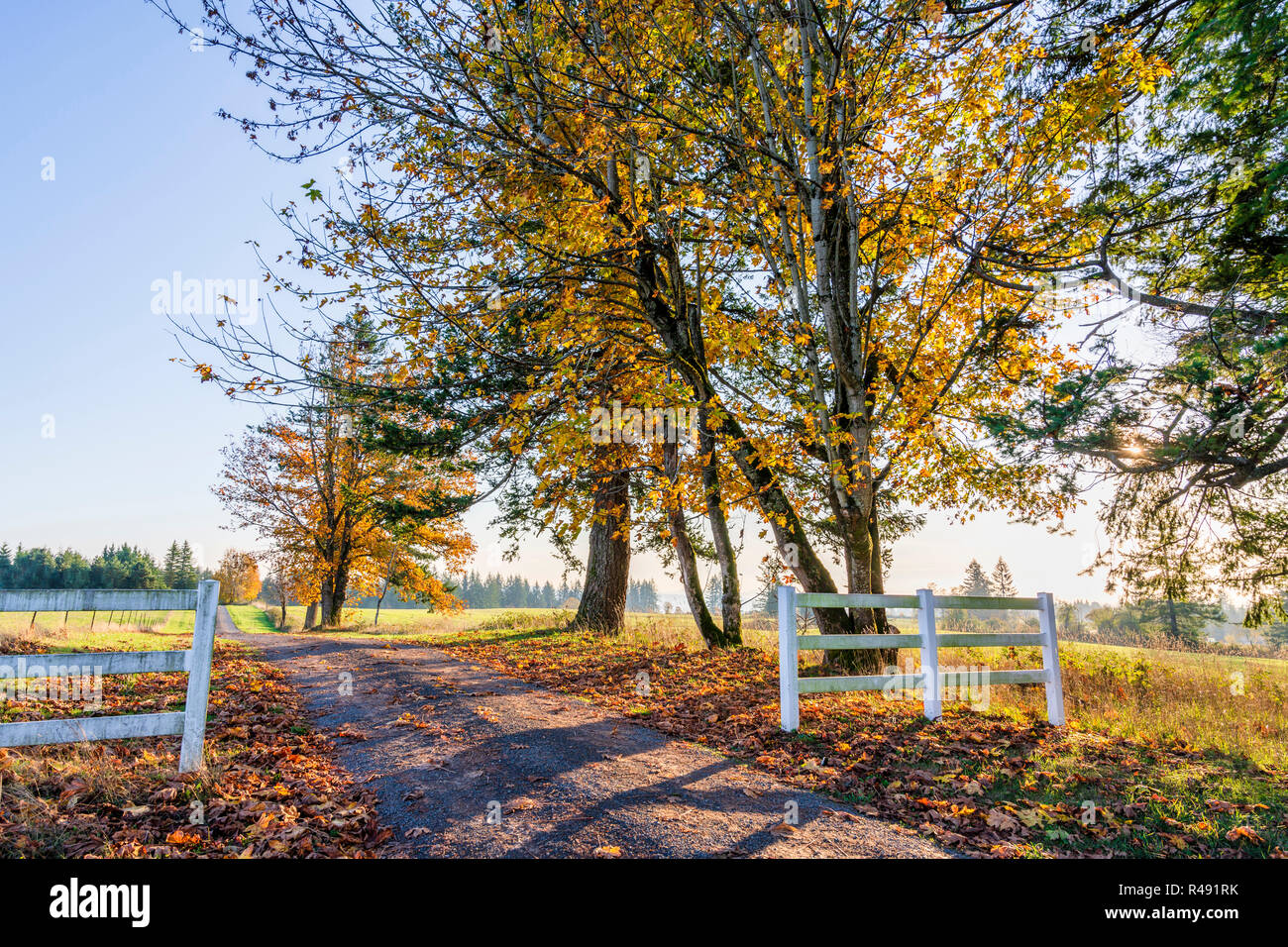 Transient lifestyle hi-res stock photography and images - Alamy