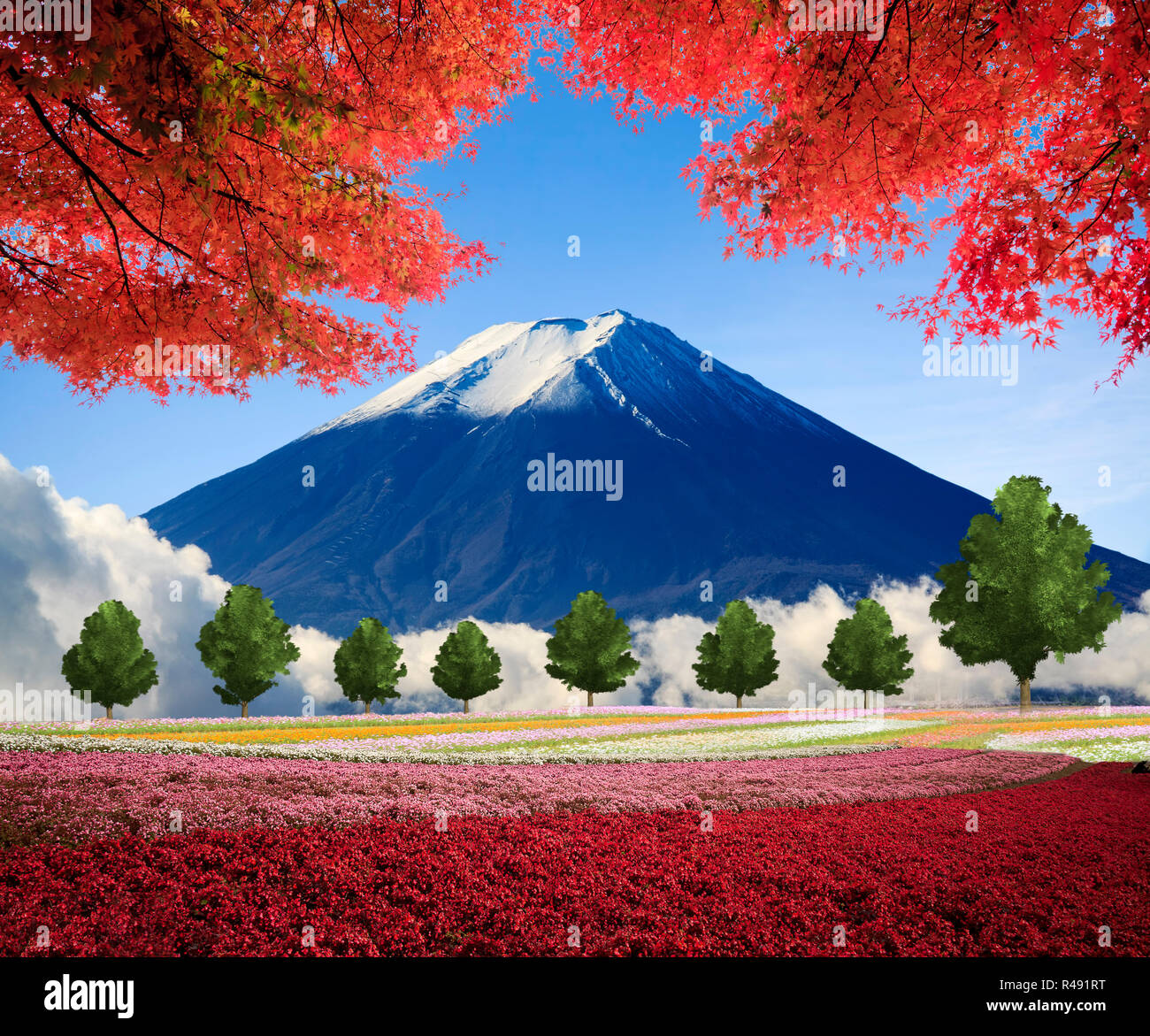 imaging of beautiful landscape with nice nature color Stock Photo - Alamy