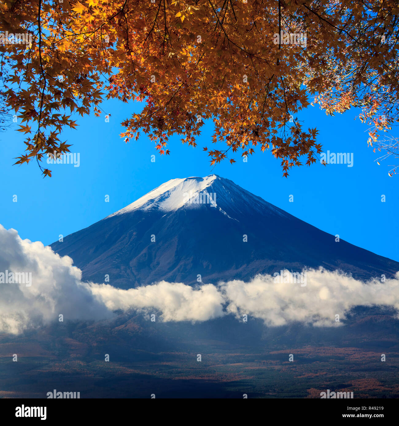 beautiful landscape with nice background color Stock Photo - Alamy