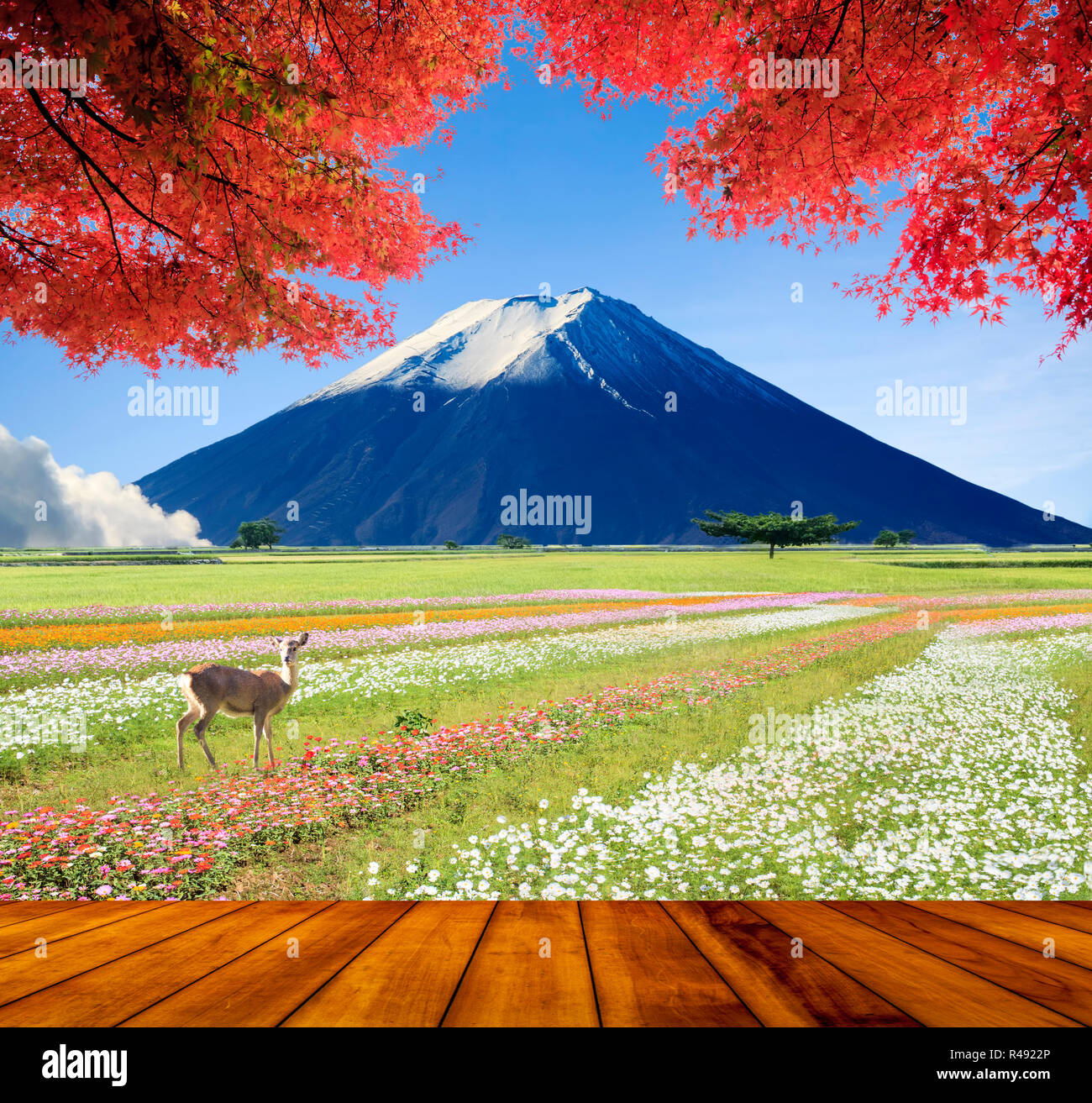 The imaging of beautiful landscape with nice nature color Stock Photo ...