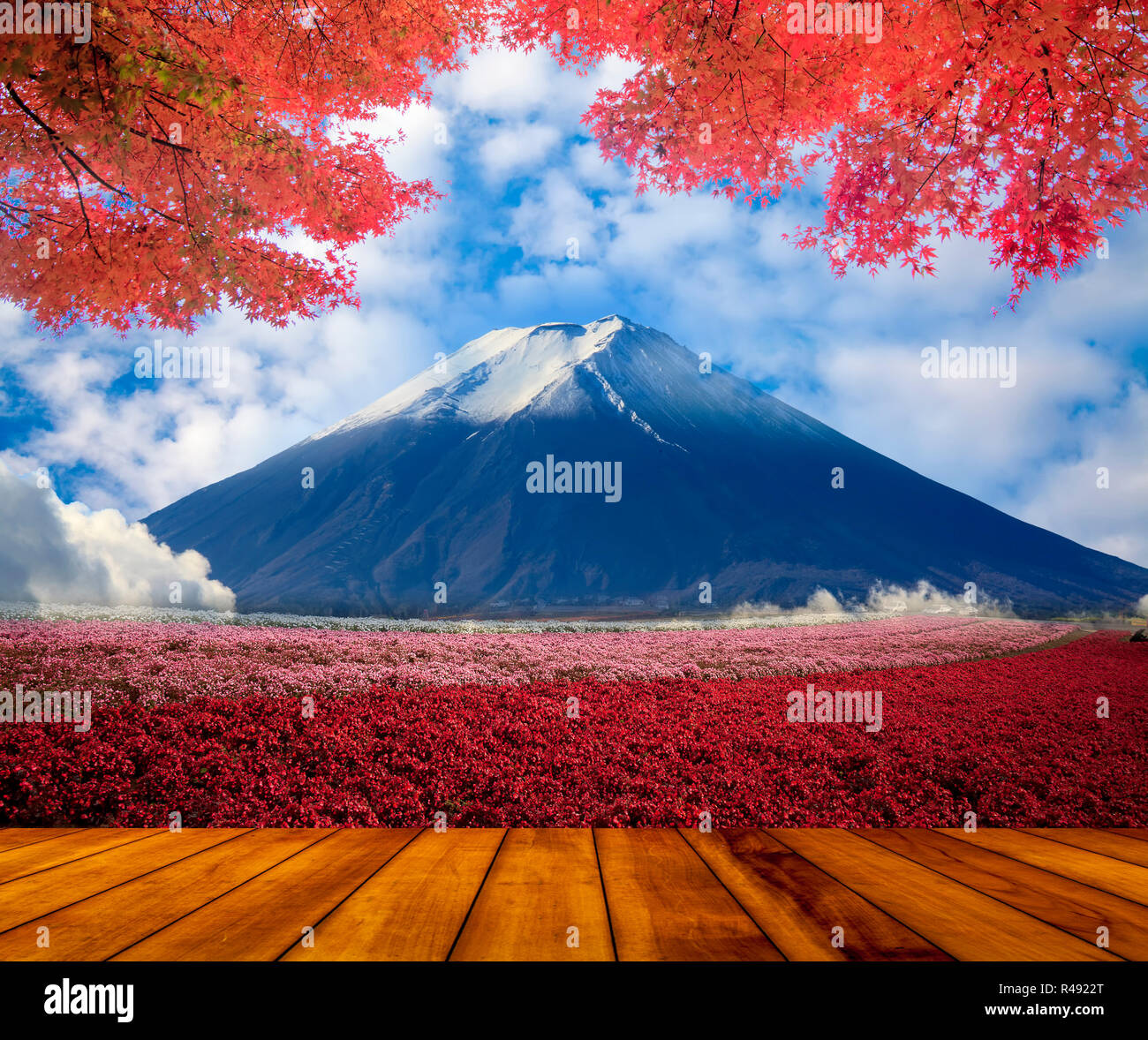 The imaging of beautiful landscape with nice nature color Stock Photo ...