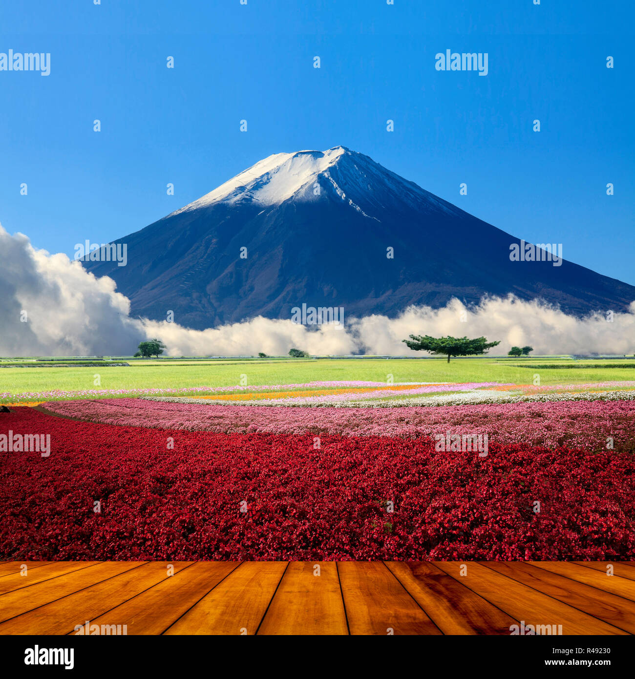 The imaging of beautiful landscape with nice nature color Stock Photo ...