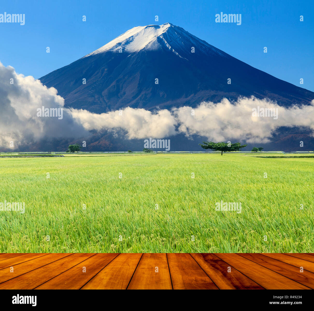 The imaging of beautiful landscape with nice nature color Stock Photo ...