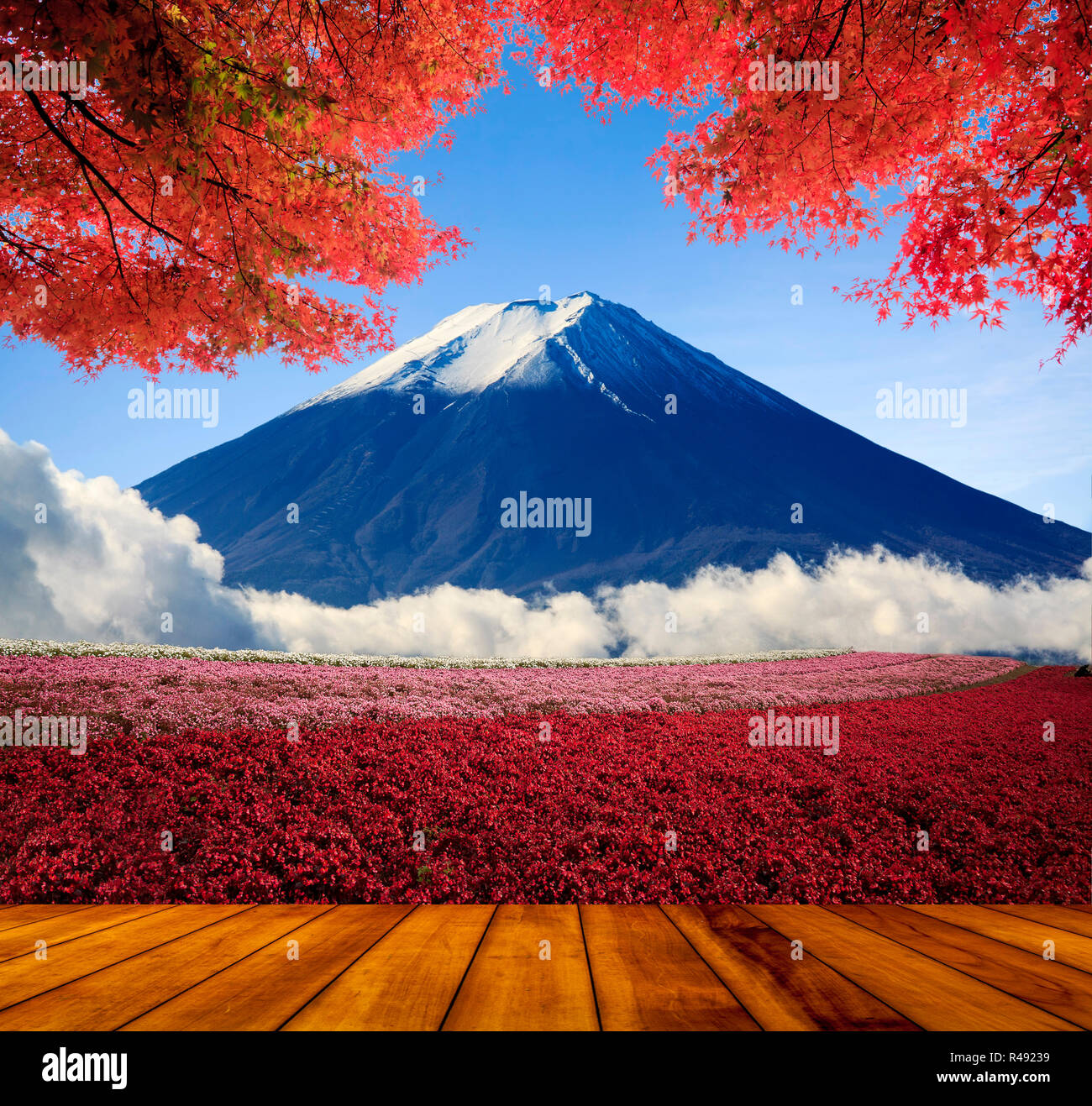 The imaging of beautiful landscape with nice nature color Stock Photo ...