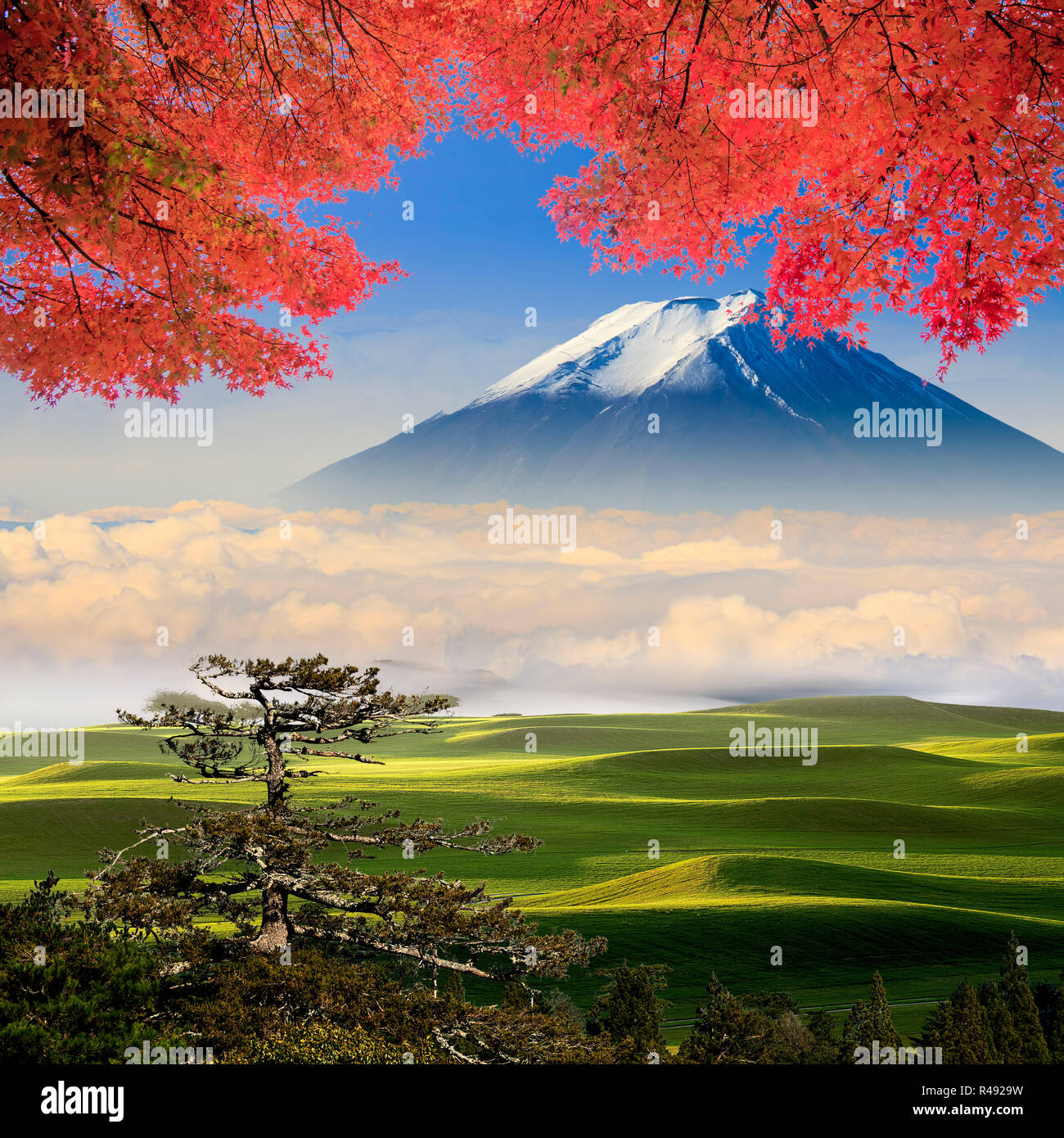 The beautiful landscape with nice background color Stock Photo - Alamy