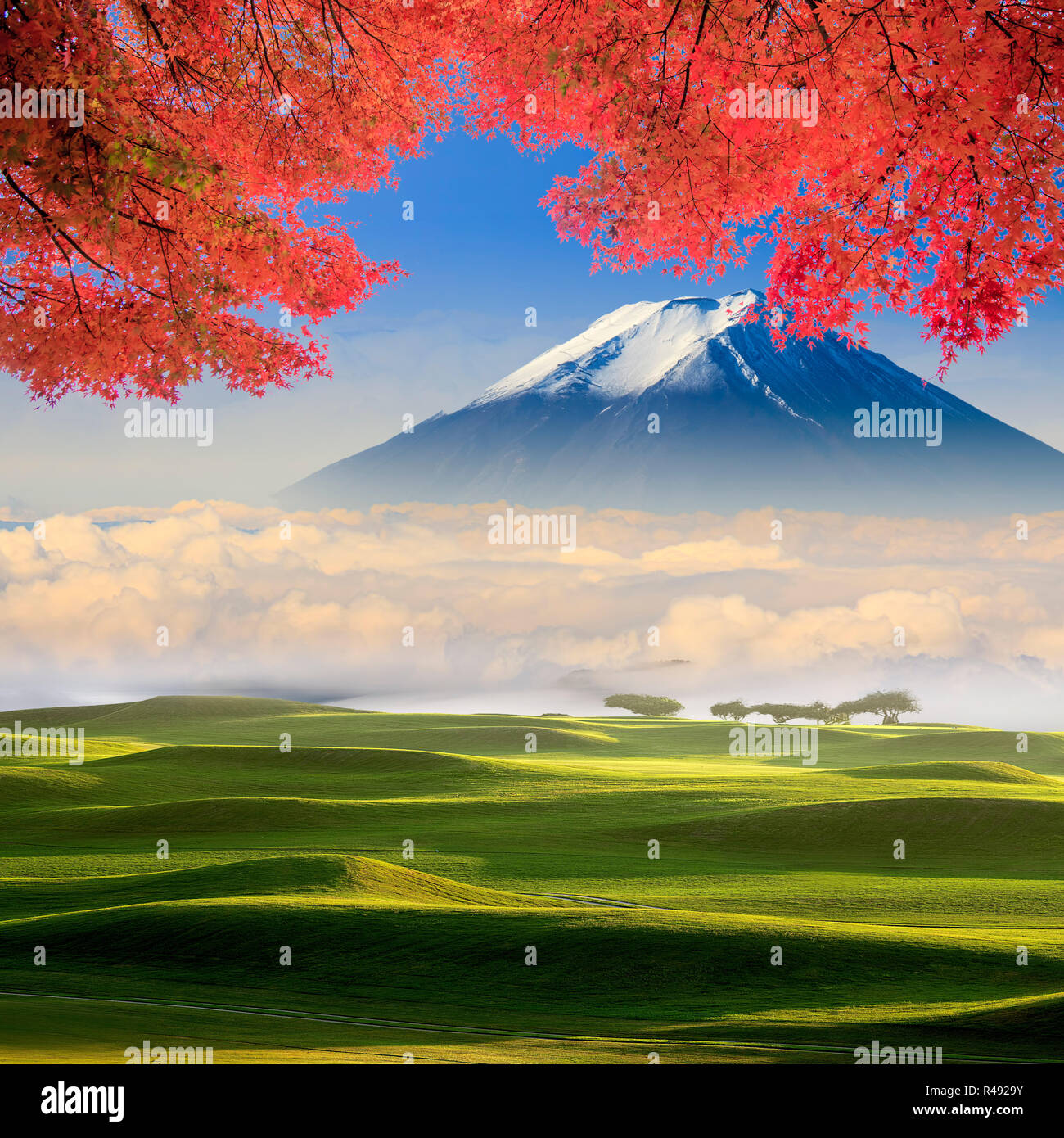 The beautiful landscape with nice background color Stock Photo - Alamy