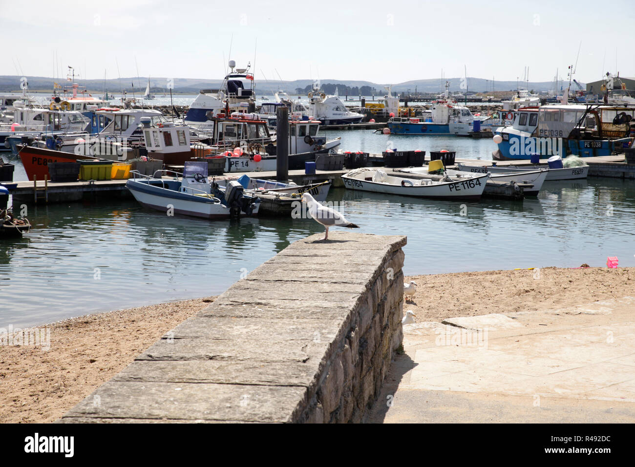 Poole harbour tour hi-res stock photography and images - Alamy