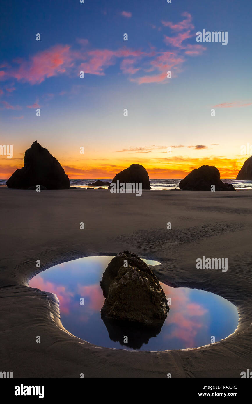 Tide pool pacific northwest hi-res stock photography and images - Alamy