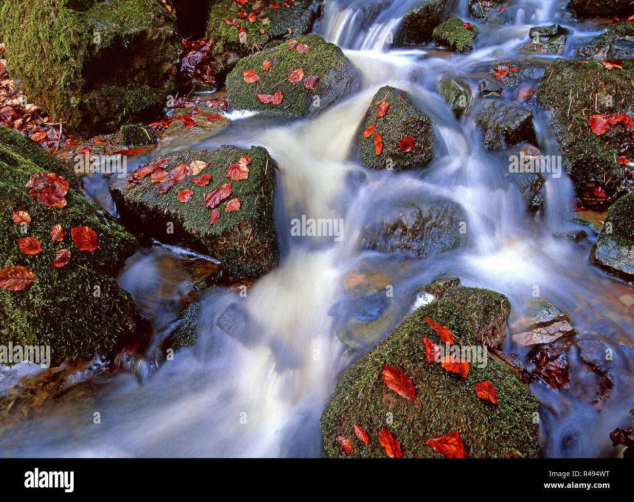 Bachstein hi-res stock photography and images - Alamy