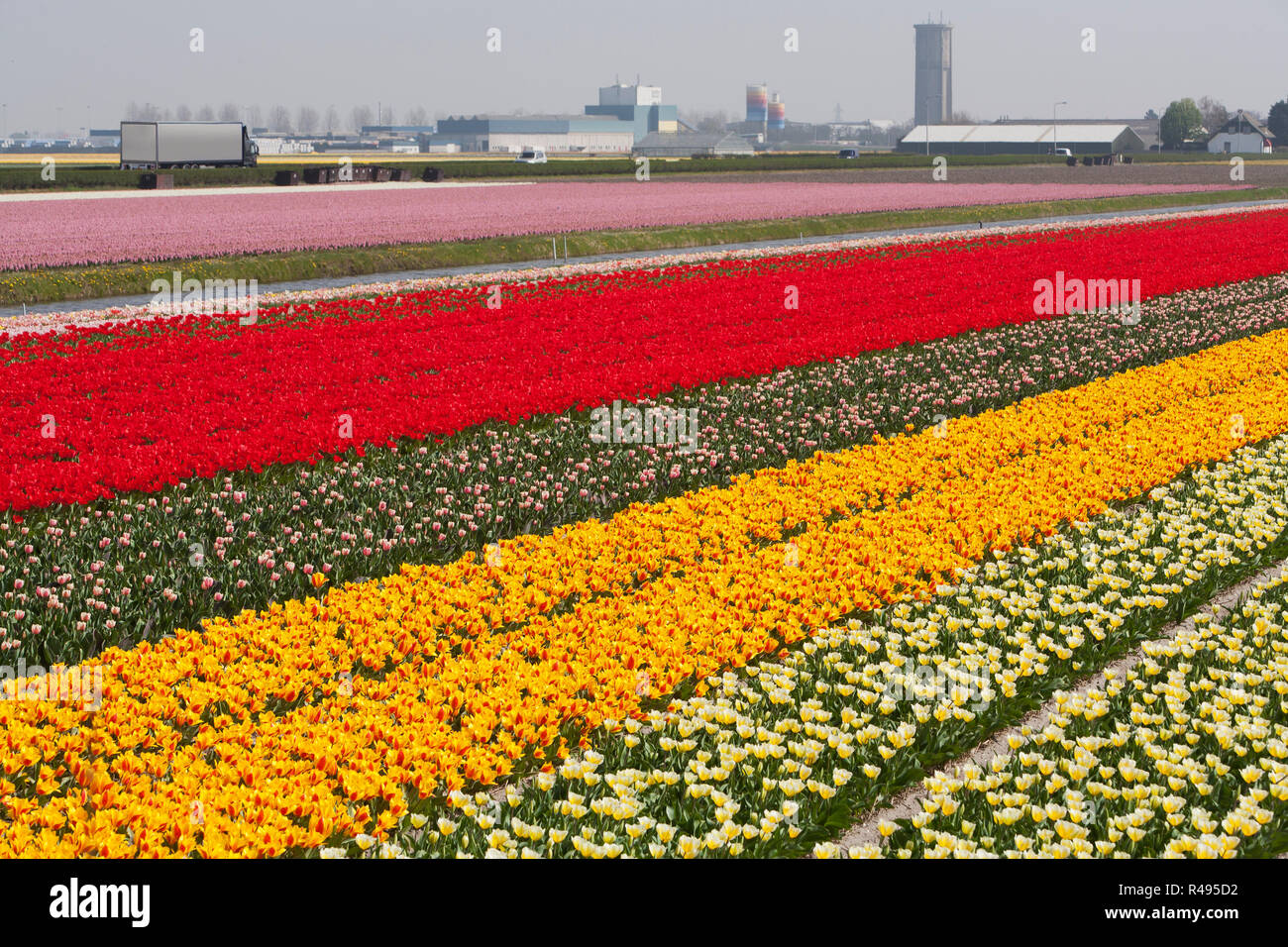 Dutch flower lorry hi-res stock photography and images - Alamy