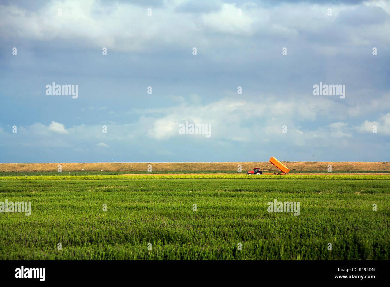 Tractor tipper trailer Stock Photo - Alamy