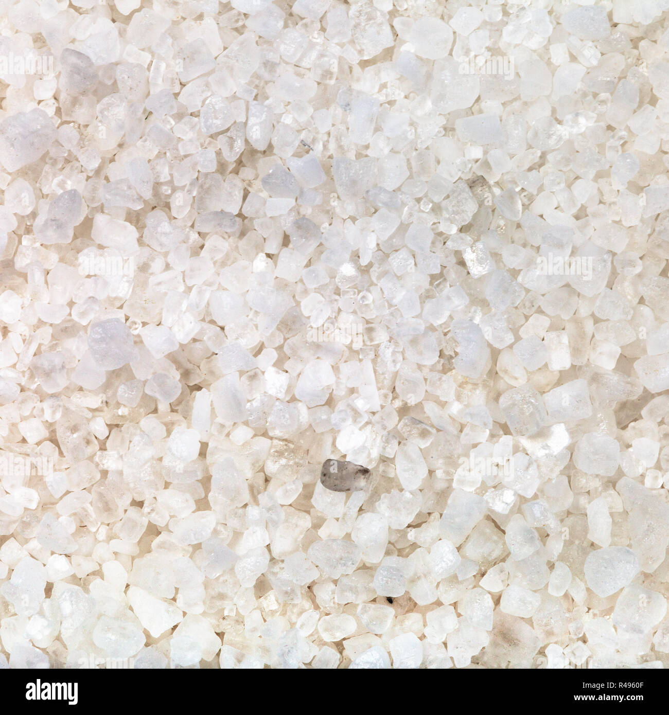 crystals of common Sea salt close up Stock Photo - Alamy
