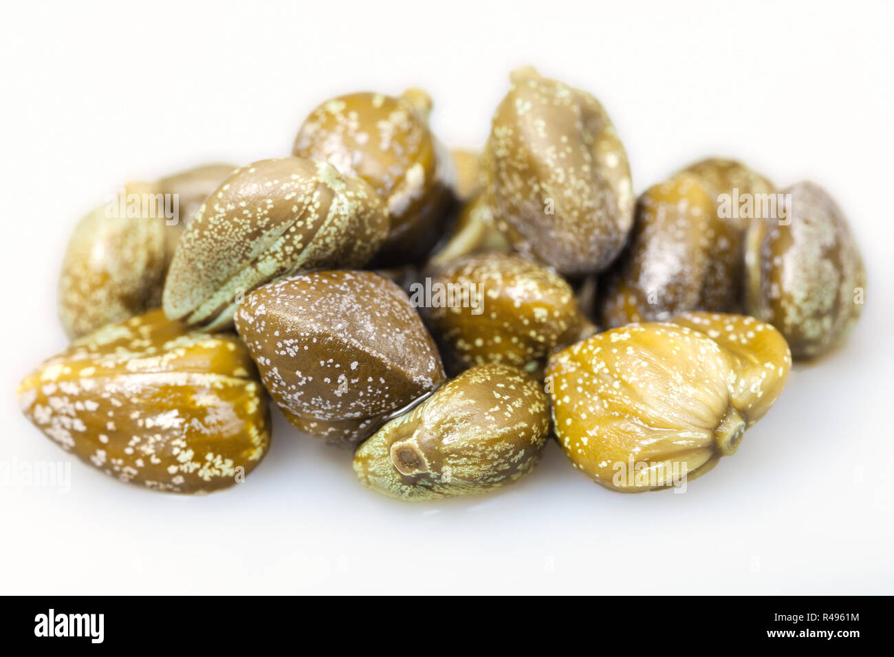 Capparis spinosa seed hi-res stock photography and images - Alamy