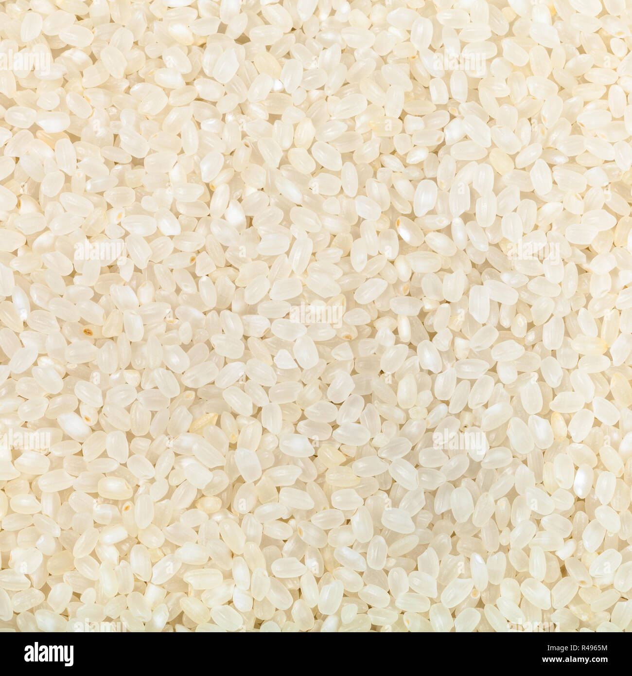 Short grain rice texture hi-res stock photography and images - Alamy