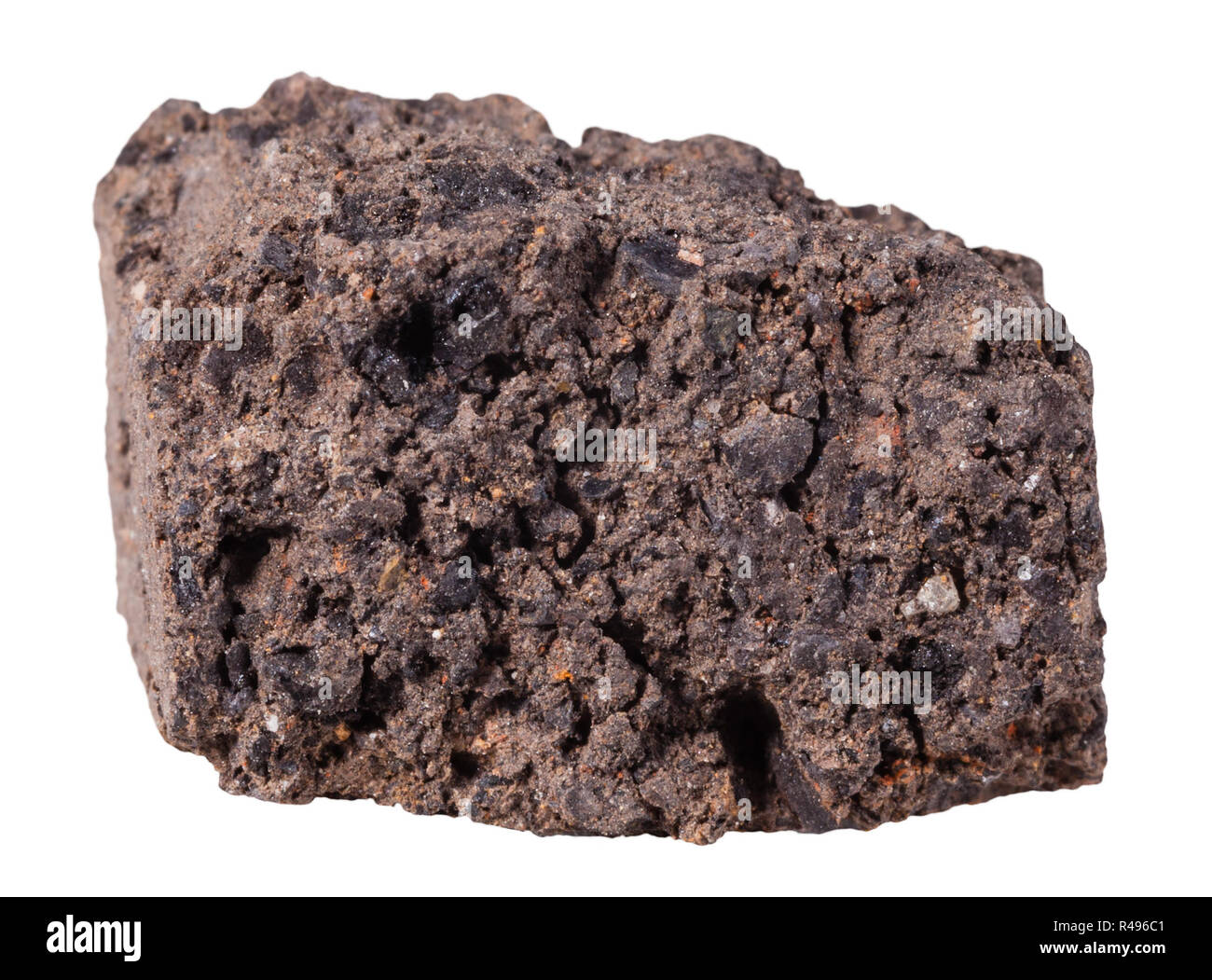 Peat Sedimentary Rock
