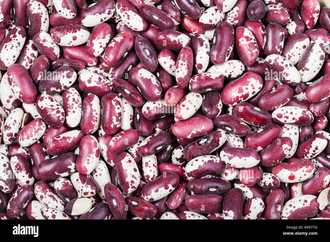 many raw red spotted beans Stock Photo - Alamy