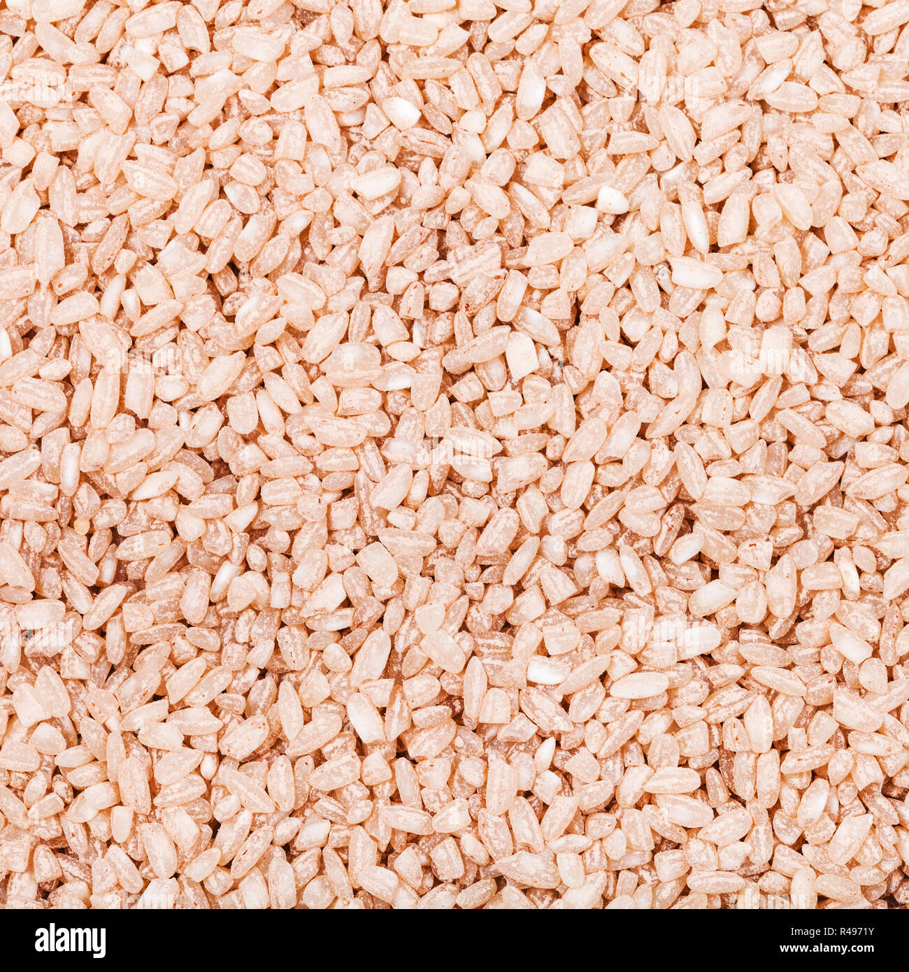 medium grains of red Matta (Devzira) rice close up Stock Photo - Alamy