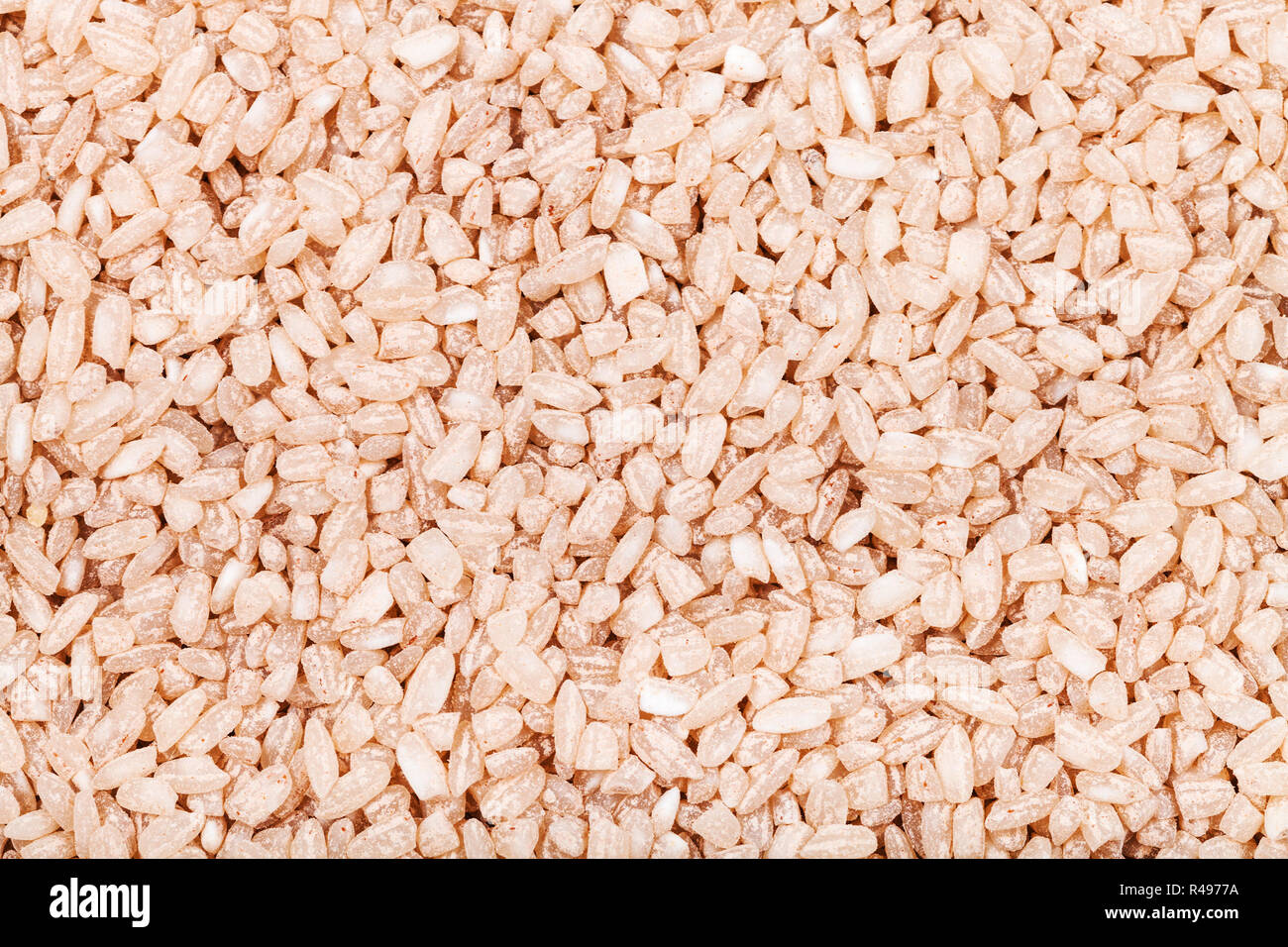 medium-grain uncooked red Matta (Devzira) rice Stock Photo - Alamy
