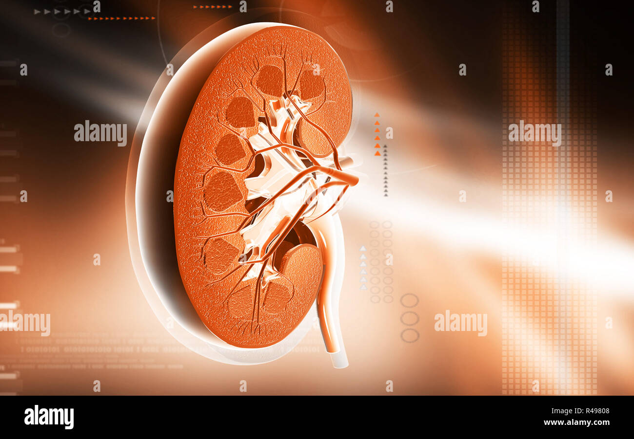Yellow kidney basin hi-res stock photography and images - Alamy