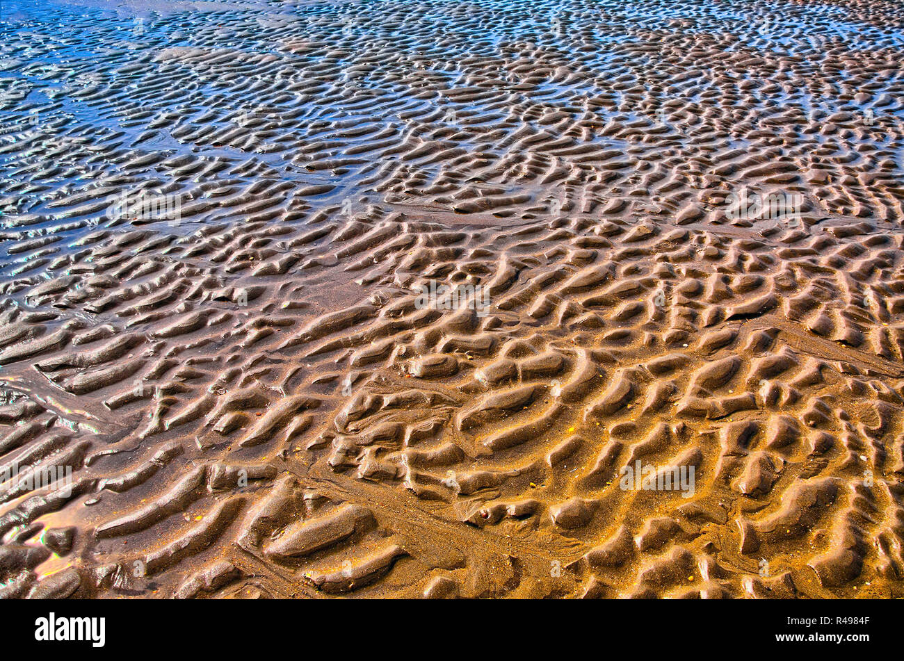 Furrows in the beach, North Sea, Zandvoort near Amsterdam, Holla Stock ...
