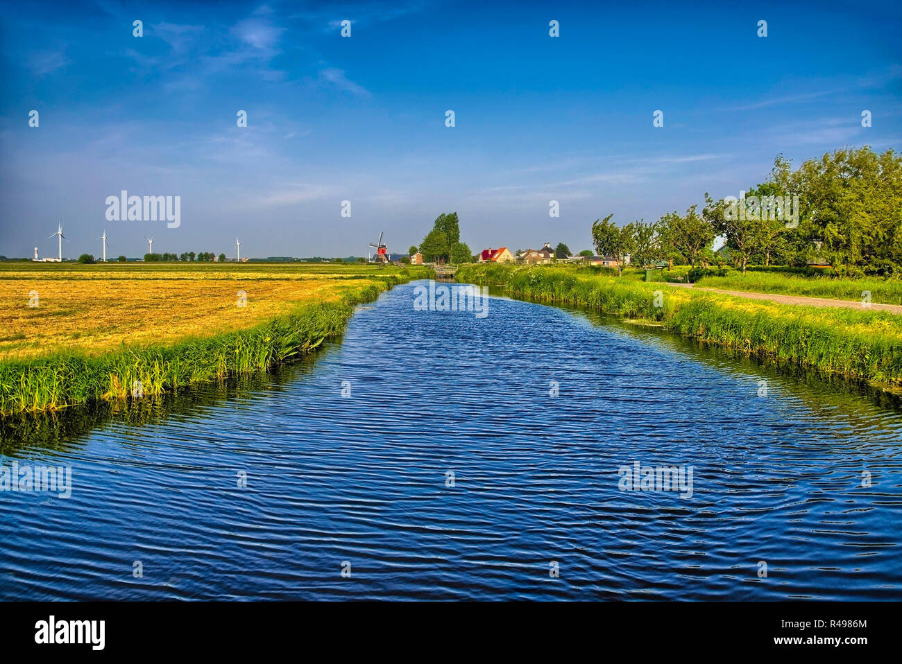 Dutch landscape with a canal and grass fields Stock Photo - Alamy