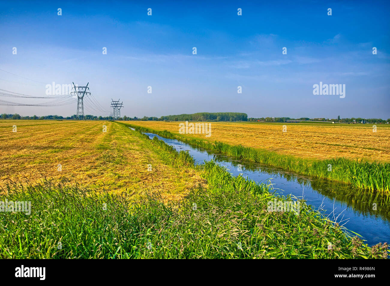Dutch landscape with a canal and grass fields Stock Photo - Alamy