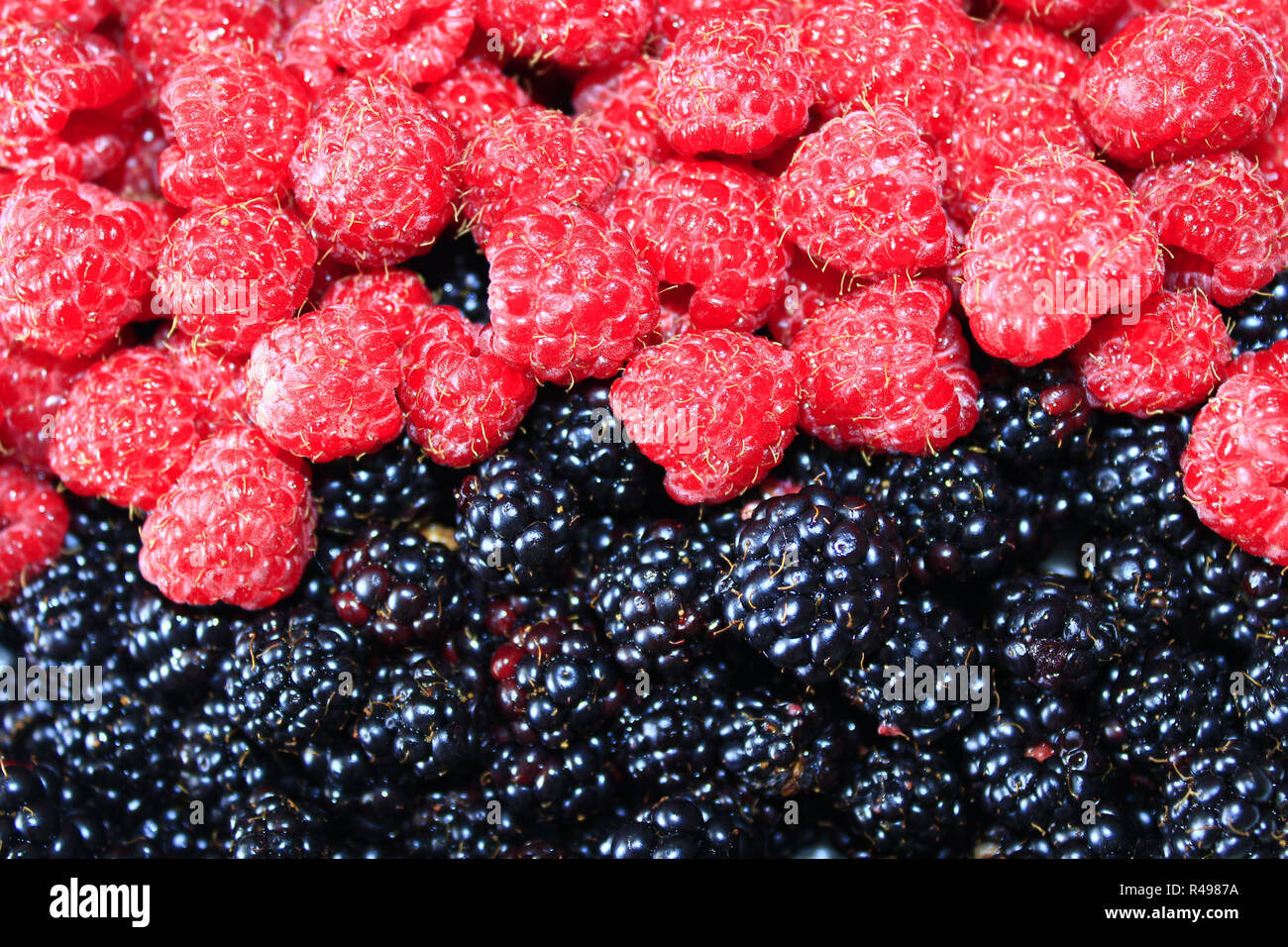 blackberry and raspberry Stock Photo - Alamy