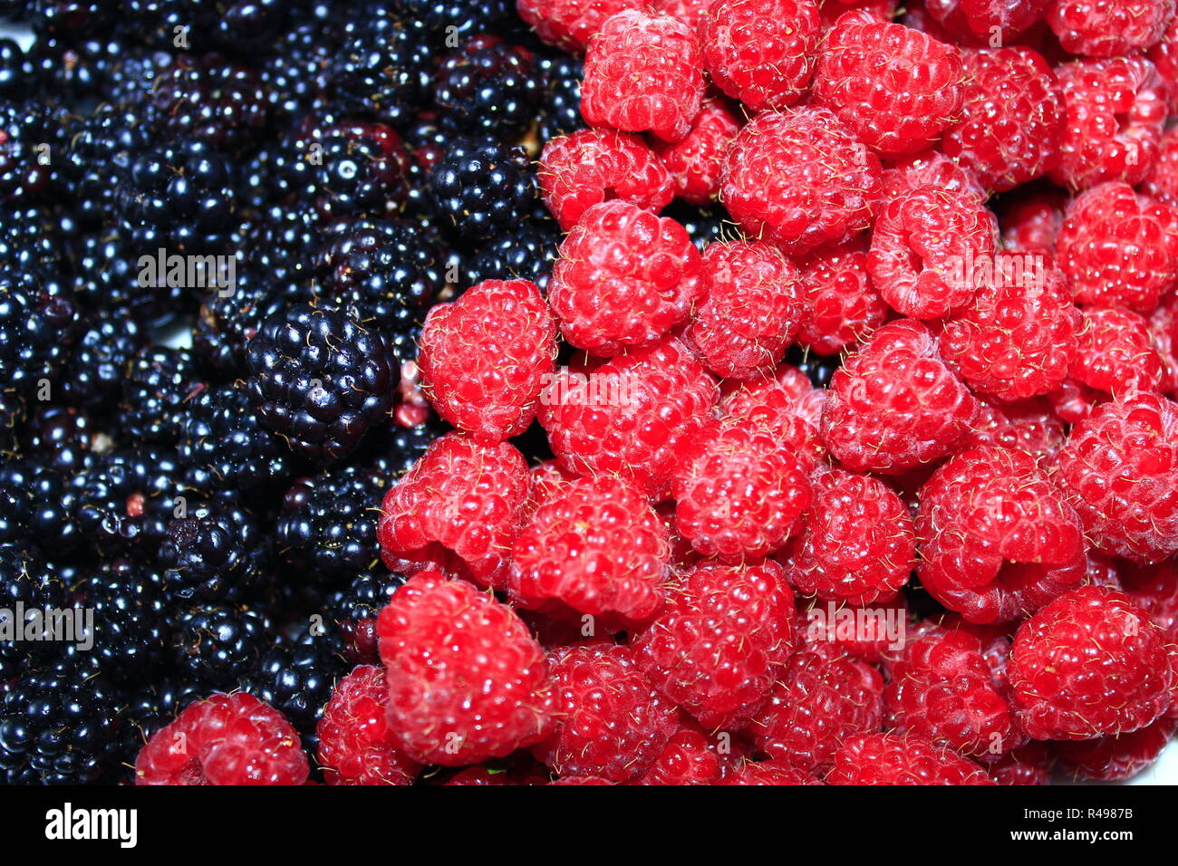 blackberry and raspberry Stock Photo - Alamy