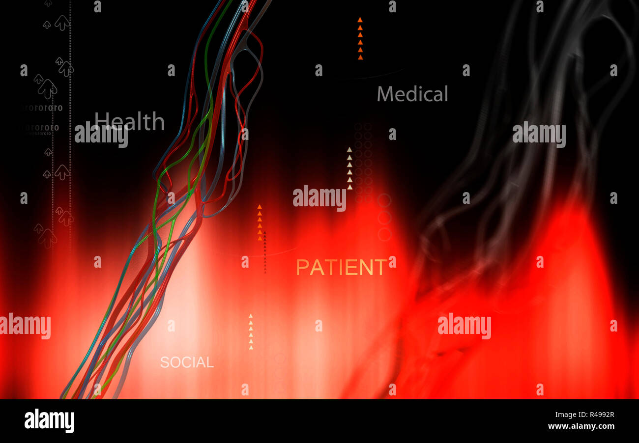 Vascular system hi-res stock photography and images - Alamy