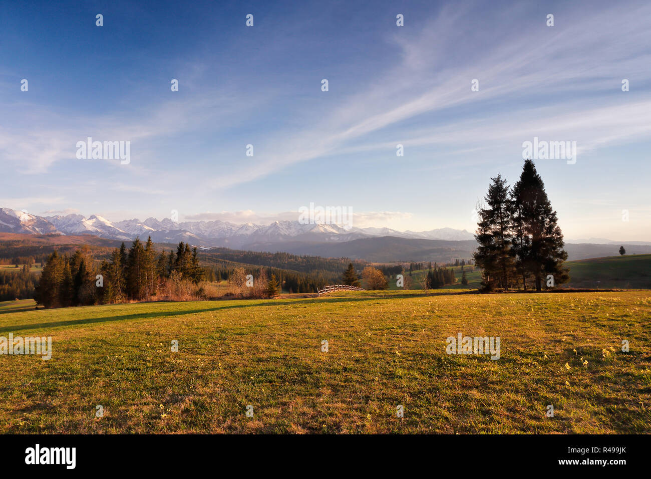 Tatra mountains flowers panorama hi-res stock photography and images ...