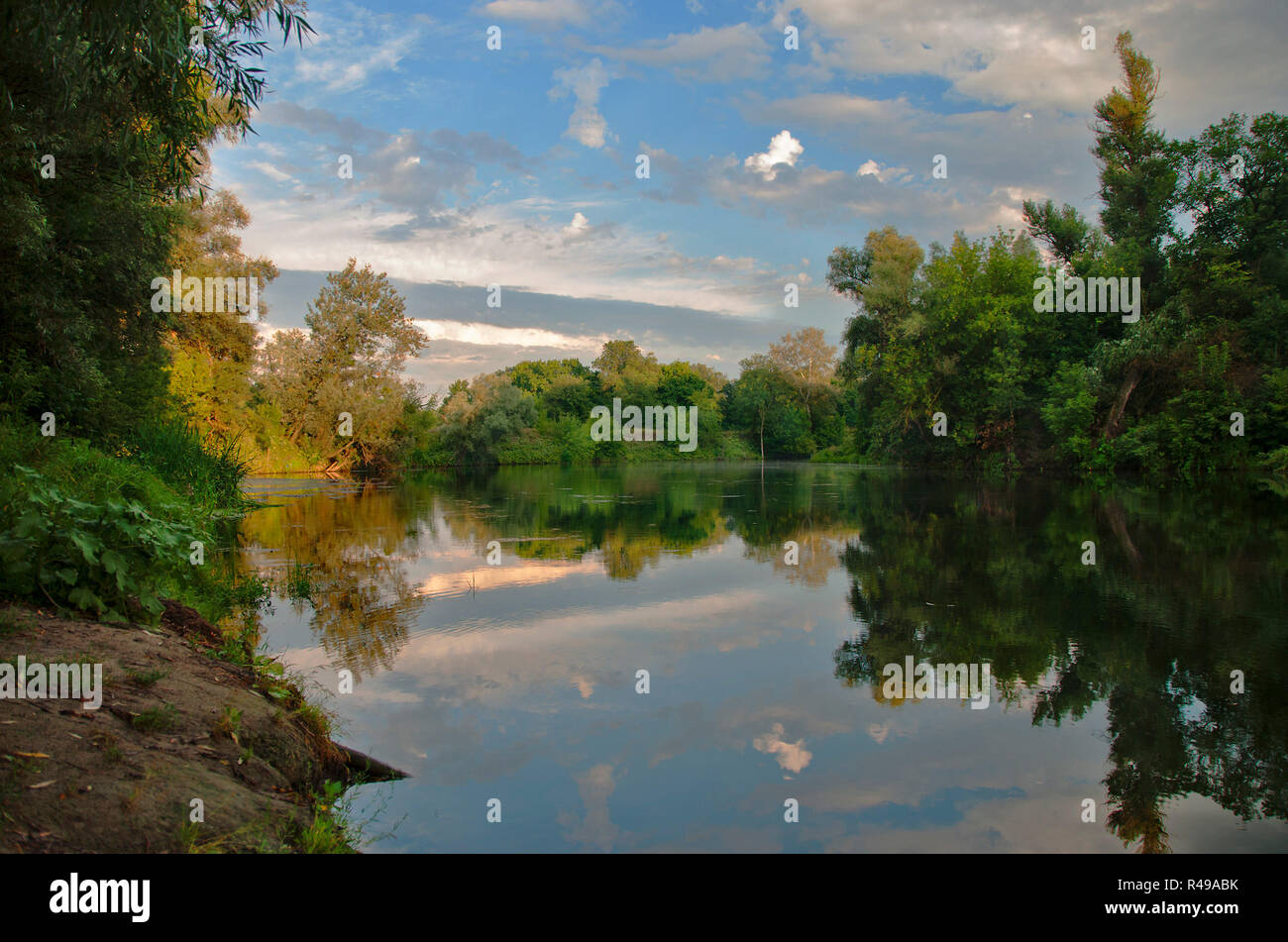 Meadow riverside forest hi-res stock photography and images - Alamy