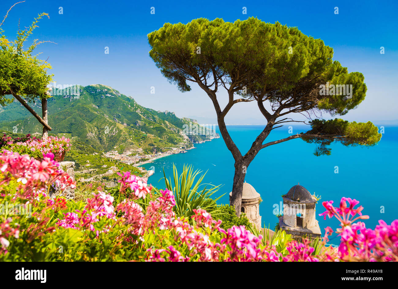 The ravello tree hi-res stock photography and images - Alamy