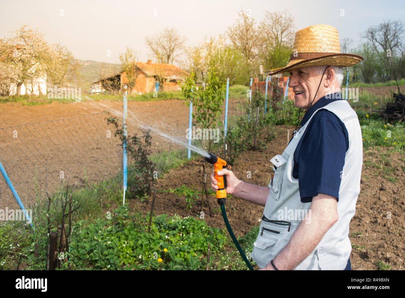 Farmer watering crops Stock Photo - Alamy