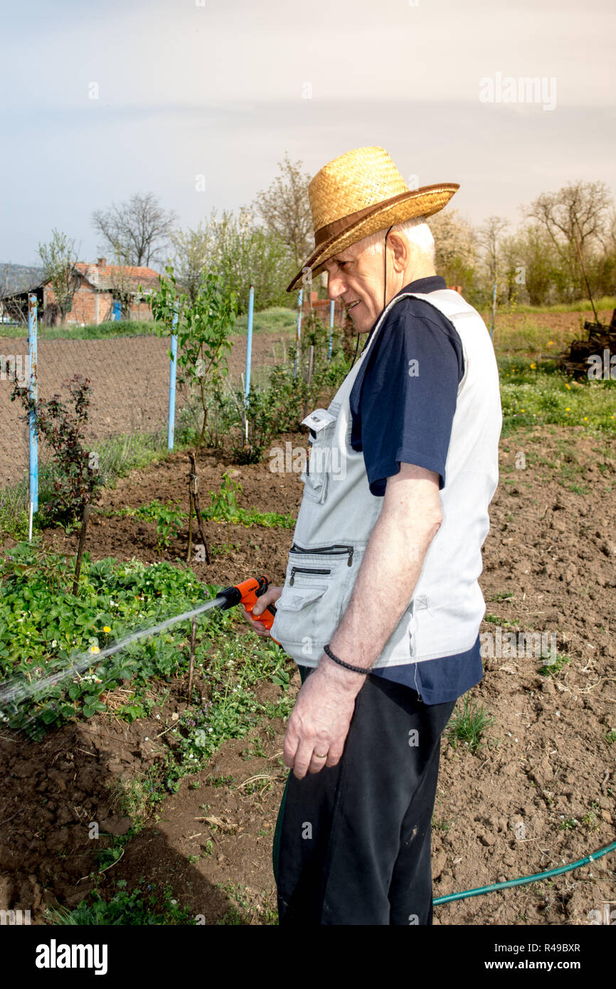 Farmer watering crops Stock Photo - Alamy