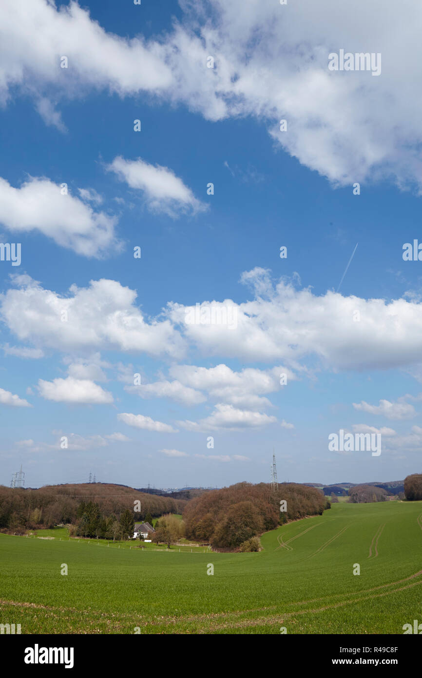Landscape - Gentle cultural landscape with blue sky and white clouds ...