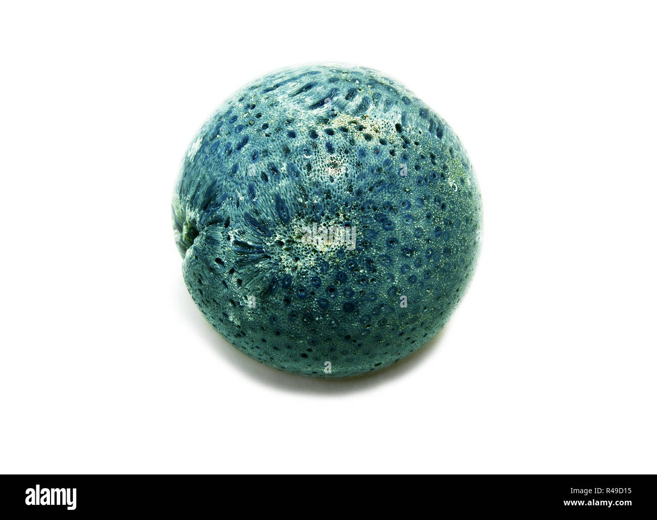 Coral reef blue ocean Cut Out Stock Images & Pictures - Alamy