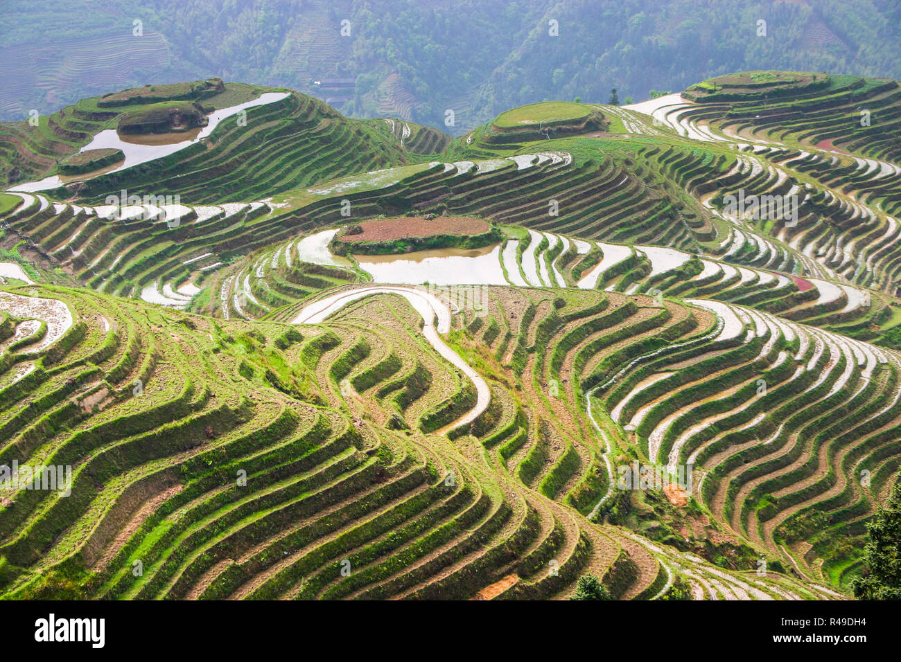 Longji Rice Terraces Stock Photo - Alamy