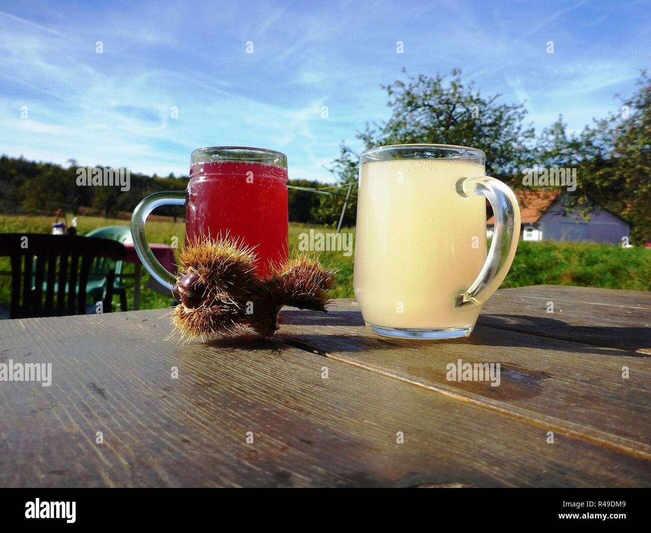 The first spiny hi-res stock photography and images - Alamy