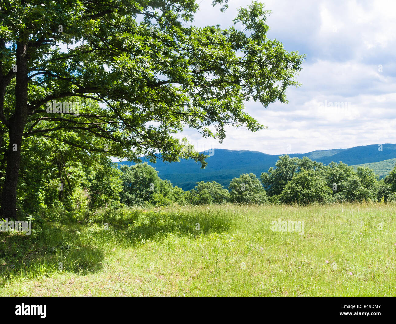 Strandzha mountain hi-res stock photography and images - Alamy