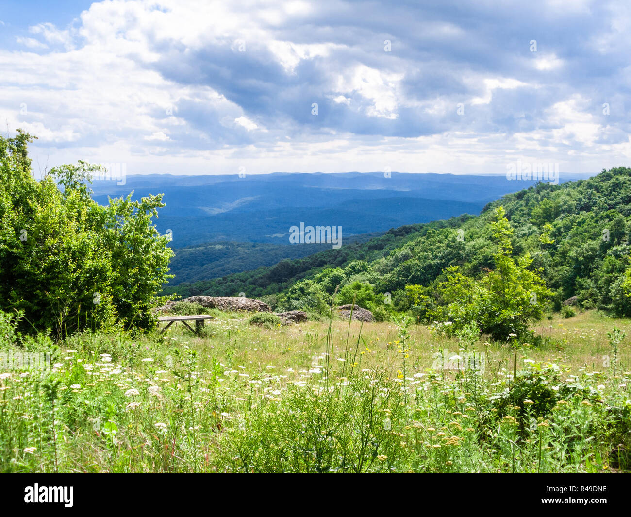 Strandzha mountain hi-res stock photography and images - Alamy